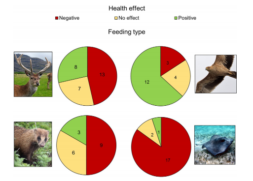 Wildlife health and supplemental feeding: A review and management ...