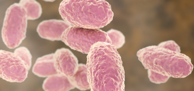 What is CEID Doing About Pertussis? | CEID