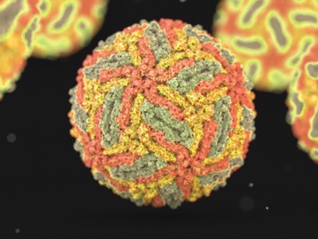 Impacts of Zika emergence in Latin America on endemic dengue ...